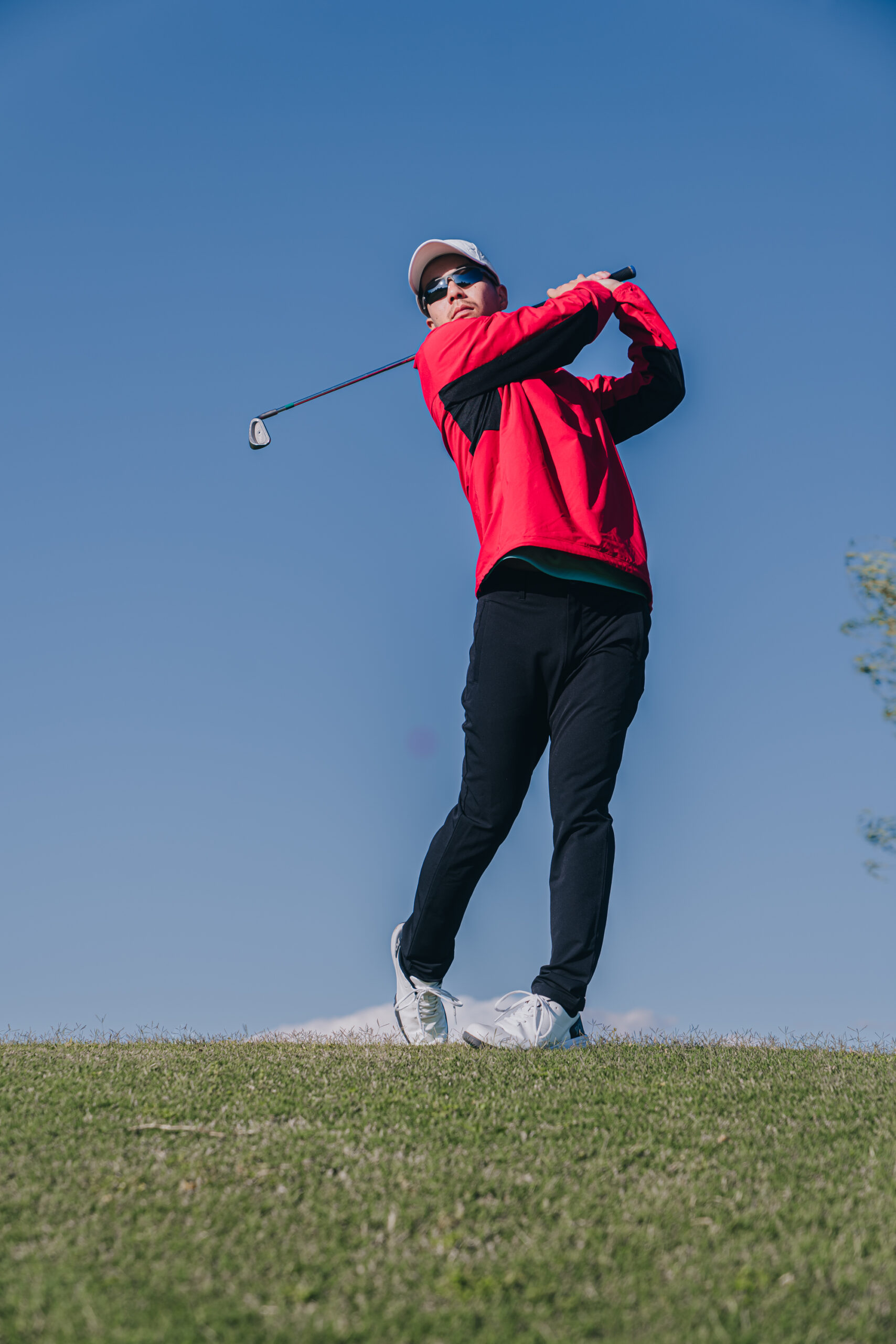 Commercial – Tatsuto Shibata Official Website